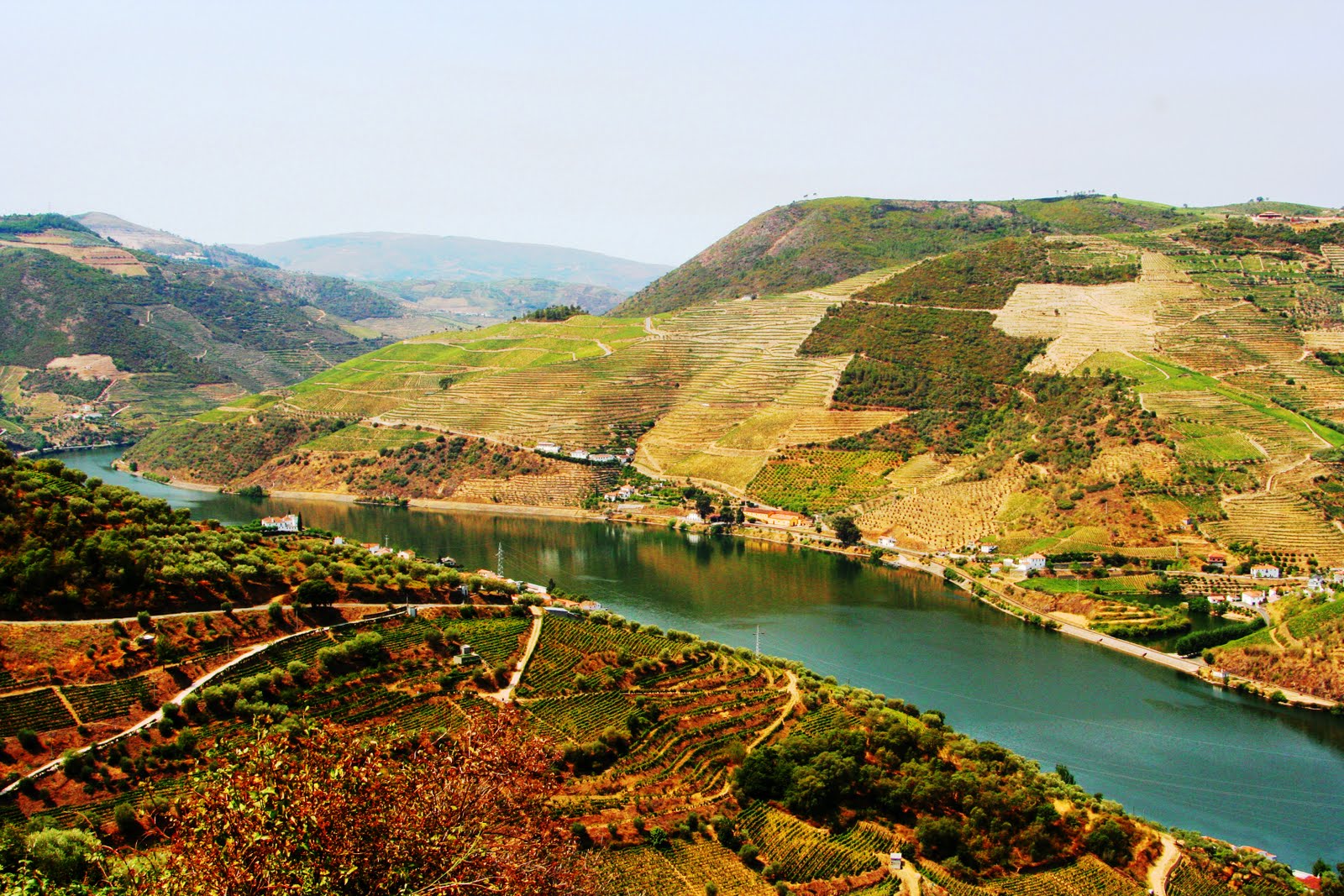 Lugares, Gentes e Curiosidades: Vista sobre o Rio Douro