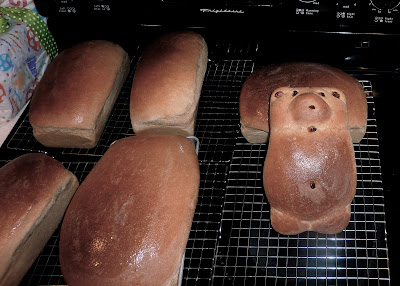 m a y f i l e s . . .: Teddy Bear Bread and Whole Grain Bread Recipe