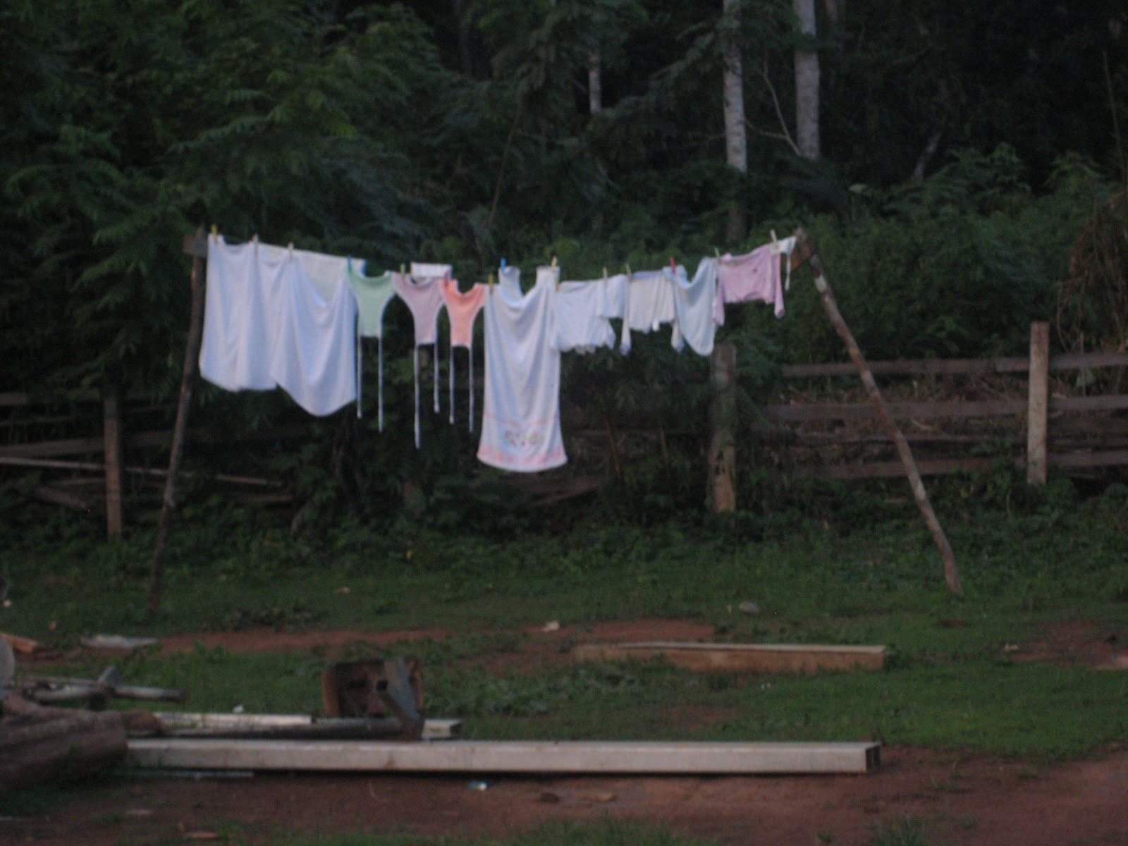 Tikar Descendent: My First Encounter in the Rainforest with my ...