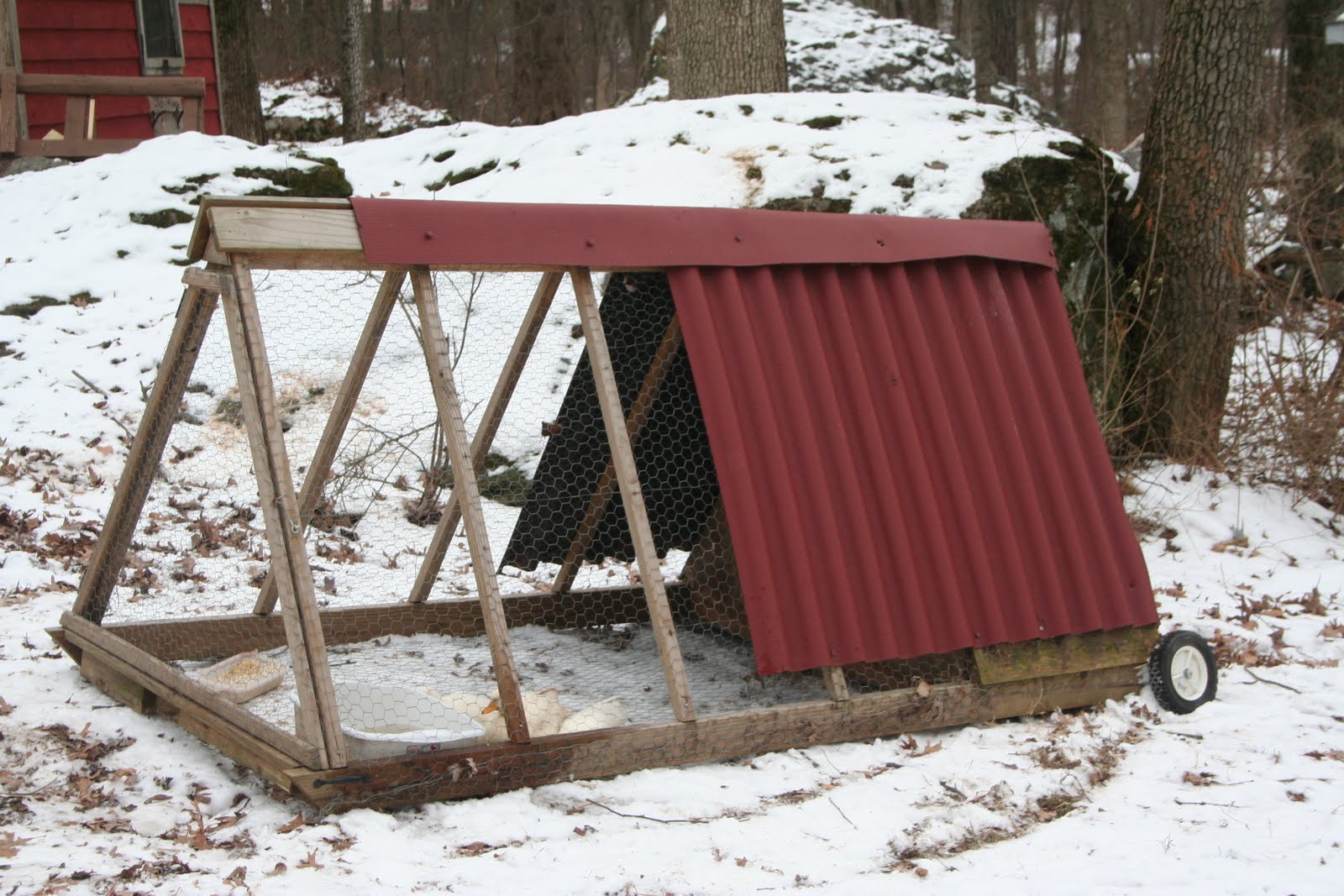 Victory Garden Farm: Frontyardigans, some new ladies and a duck tractor