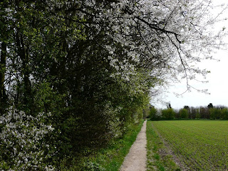 Cindy's Snaps: A tour along the River Lark ... Mildenhall, the Eighth ...