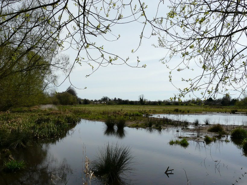 Cindy's Snaps: A tour along the River Lark ... Mildenhall, the Eighth ...