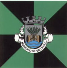 Conhecer melhor o Concelho de Valongo