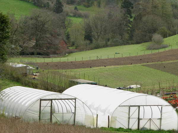 Hopesay Glebe Farm: Weed control with mypex