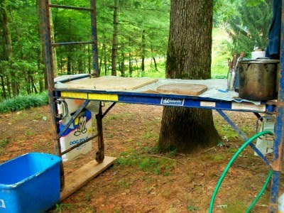 Frugal Homesteads...: around the homestead-chicken butcher day