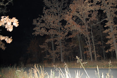 Kansas City Paranormal Investigations: HORNET SPOOK LIGHT (1)