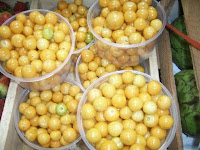 Our Ecuador: The Fruits of Ecuador