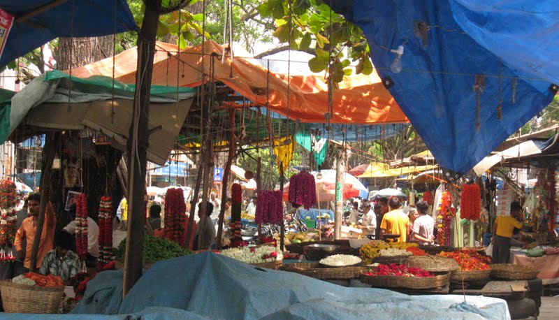 Indian Bazaars: Gandhi Bazaar