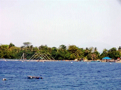 Visit Lampung: Tampang Belimbing