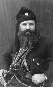 Blog srpskih junaka: Cetnicki vojvoda Nikola Kalabic