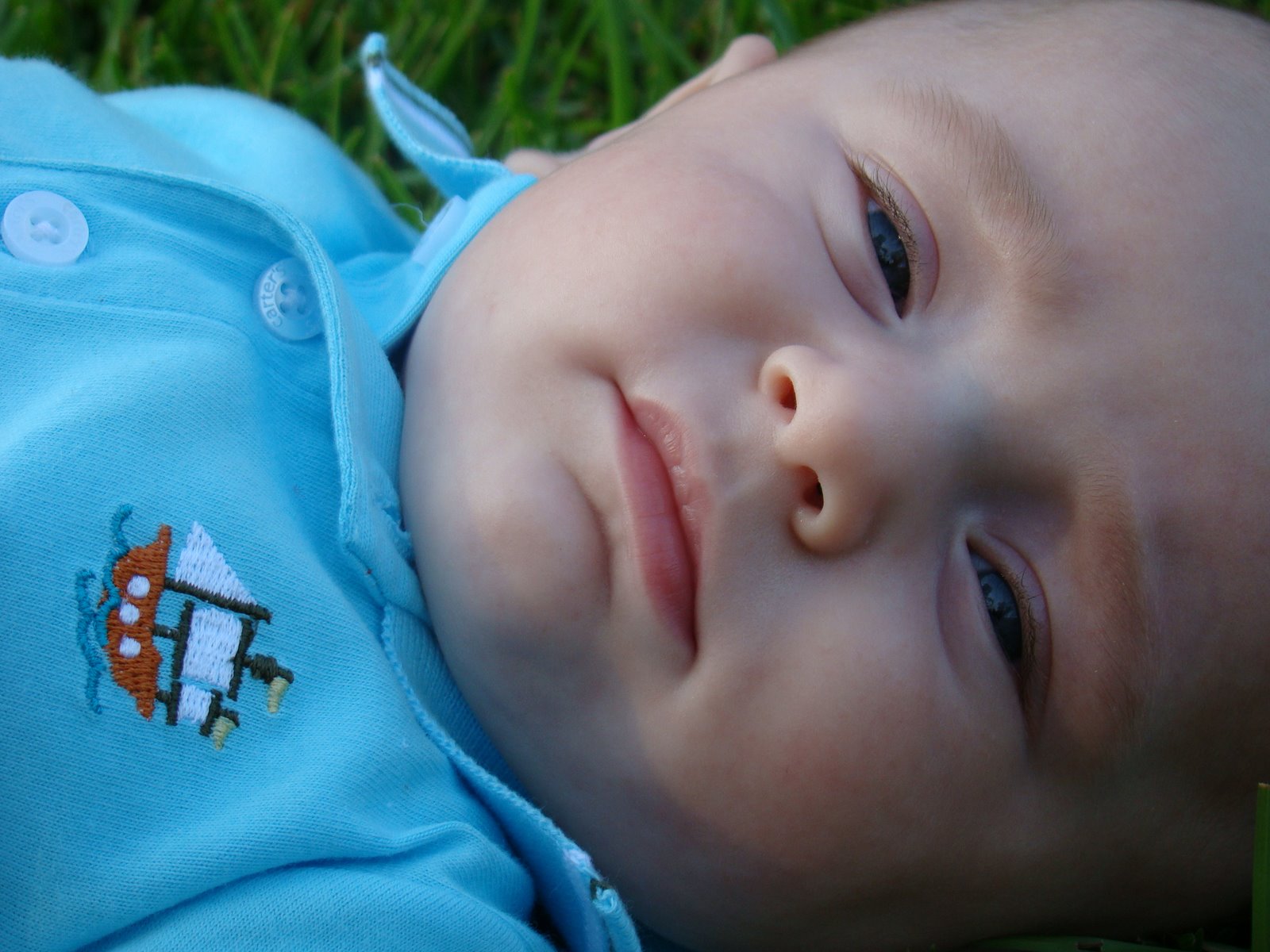 Baby's Temperament - The Journey of Parenthood...