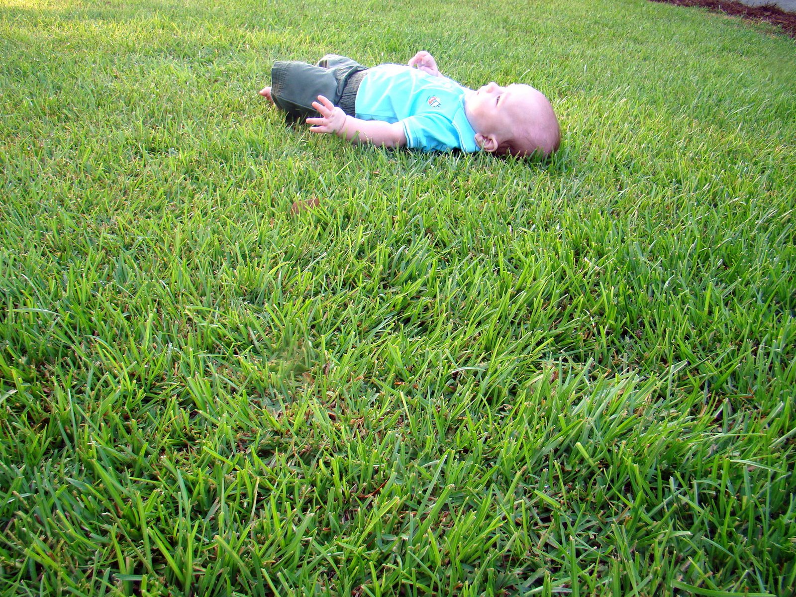 Baby's Temperament - The Journey of Parenthood...