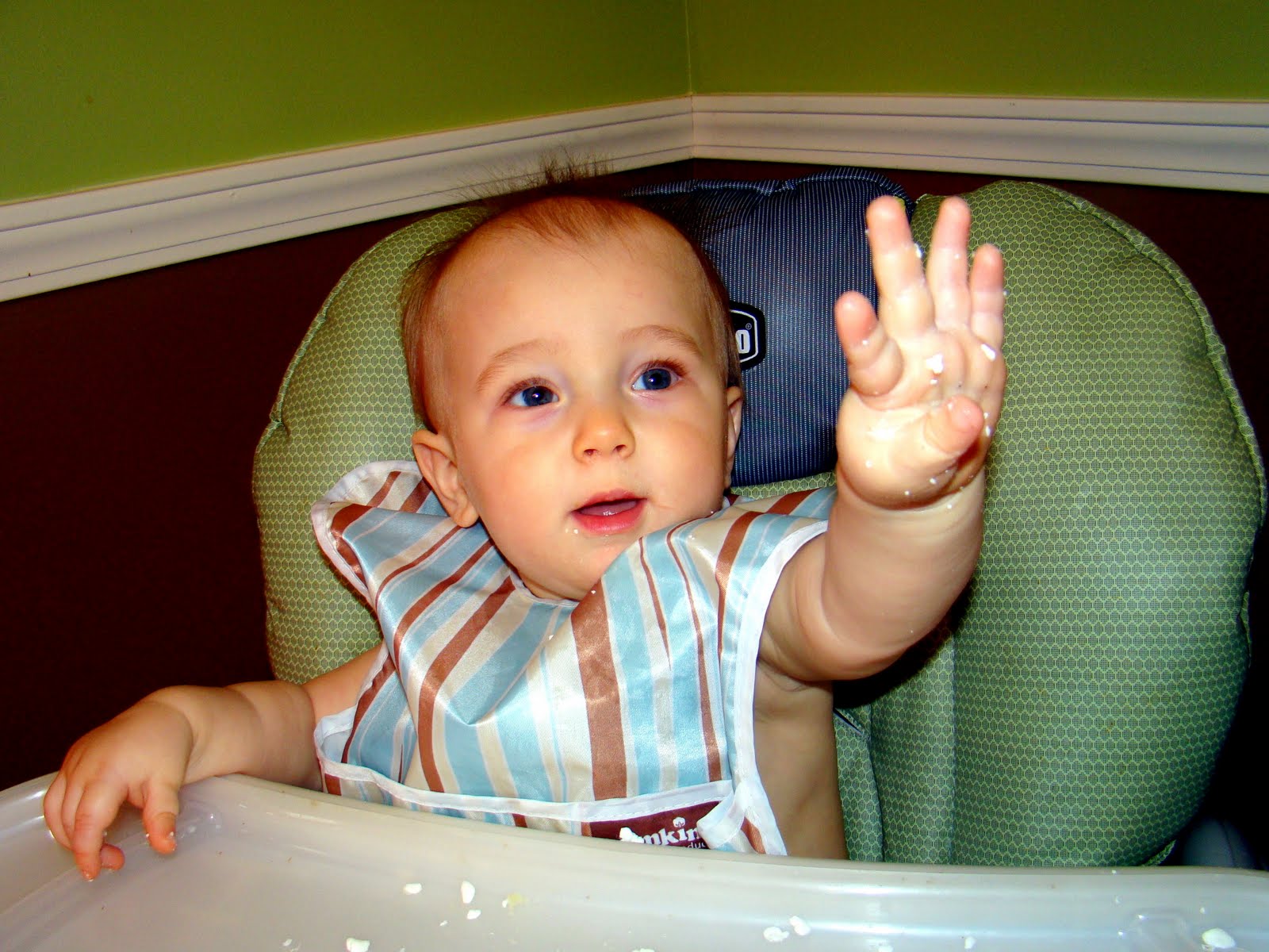 Baby-led Weaning Book - The Journey of Parenthood...