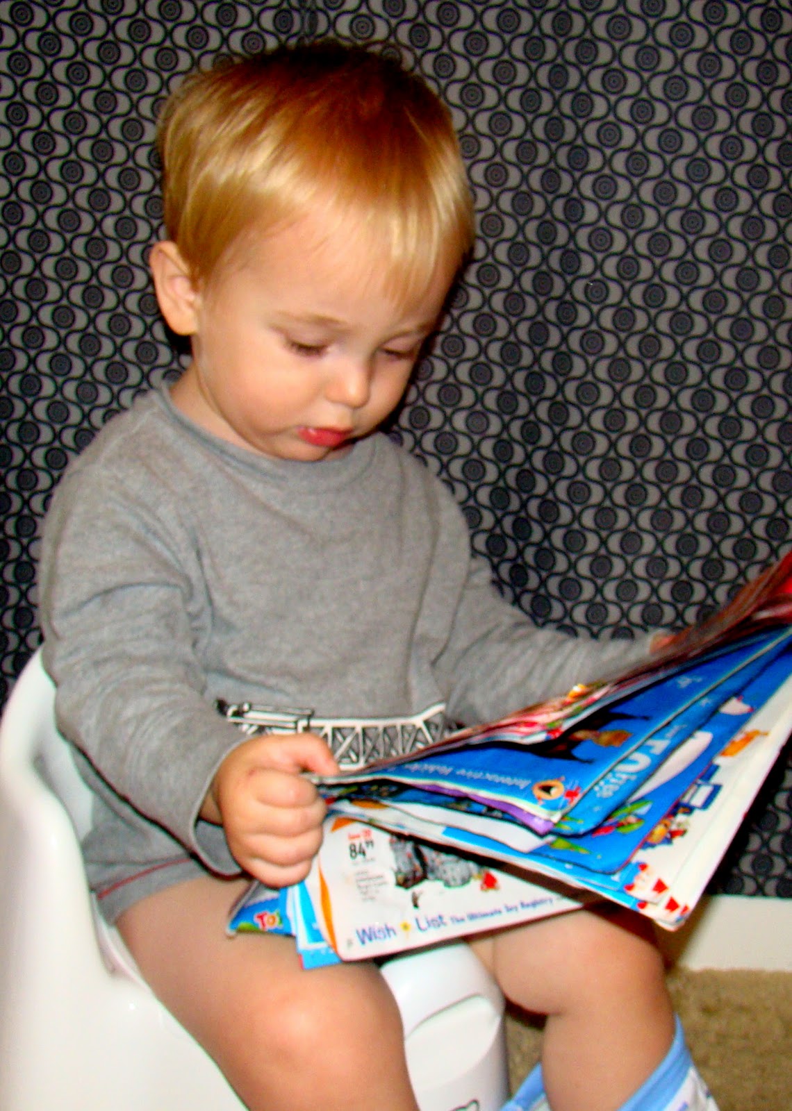 Potty Training with Pottywise - The Journey of Parenthood...