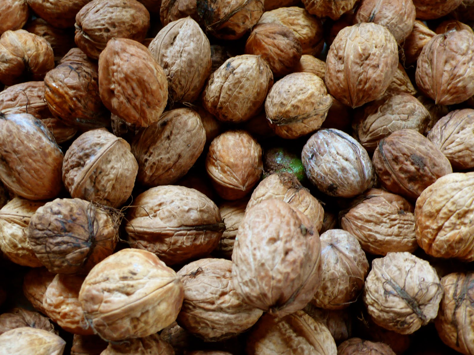 Share my Garden: Nuts