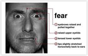 Descriptive Faces--A Resource for Writers: Facial Expressions--Fear
