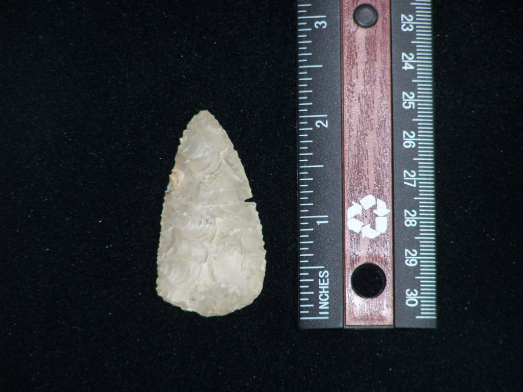 Travis McGaughey's Arrowheads