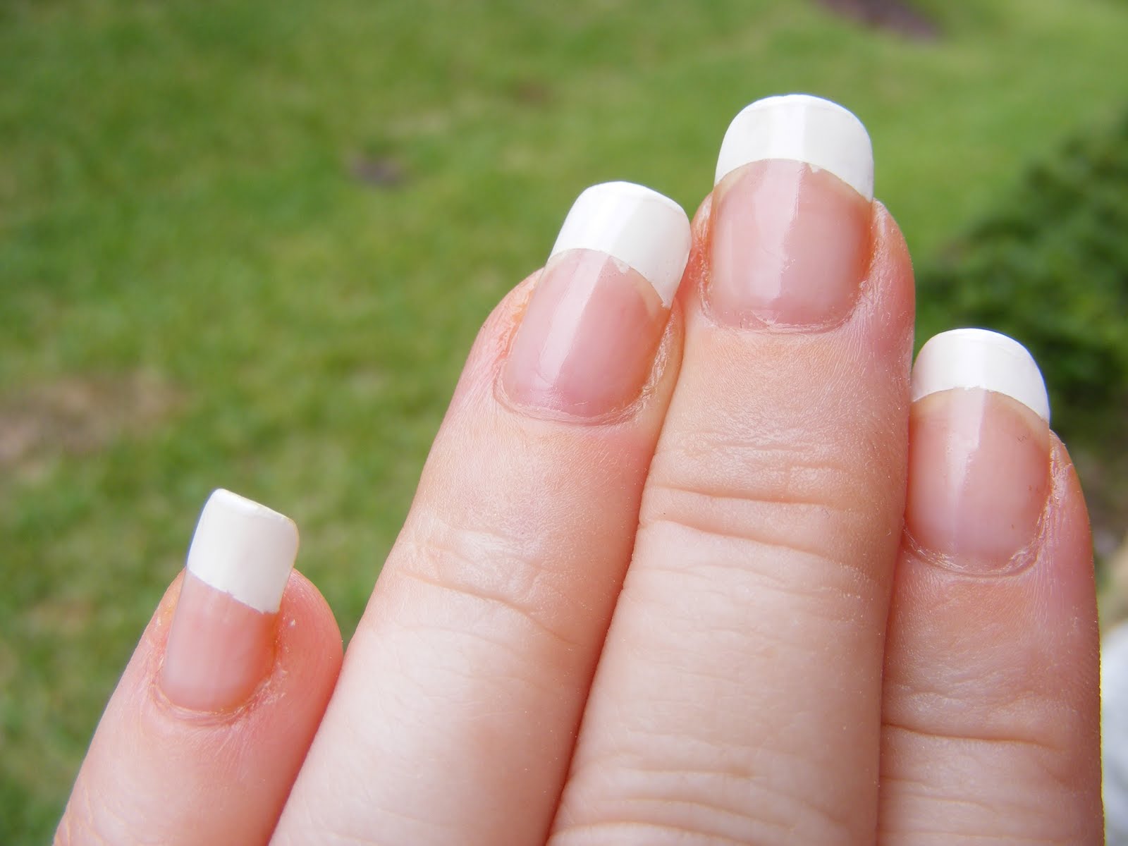 Thank you /u/MLP_William! She's adorable. : r/MLPLounge