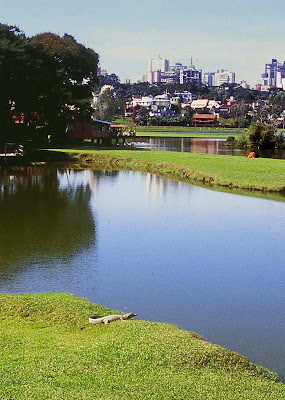 VMWELTE - VANIA DATA VÊNIA: OLHARES SOBRE CURITIBA