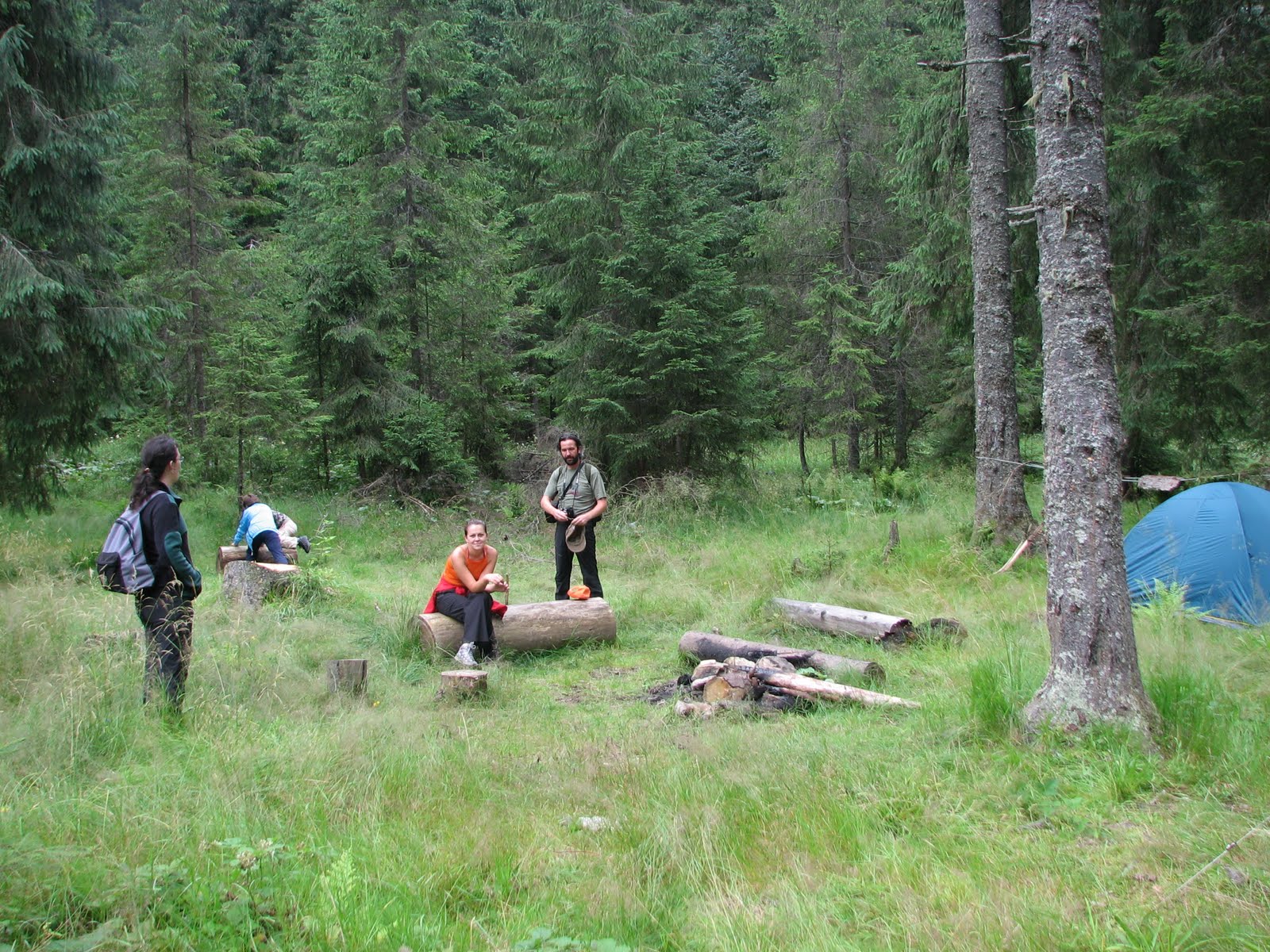 Marius CHIRA: Muntii Vladeasa - Valea Draganului - Cascada Moara Dracului