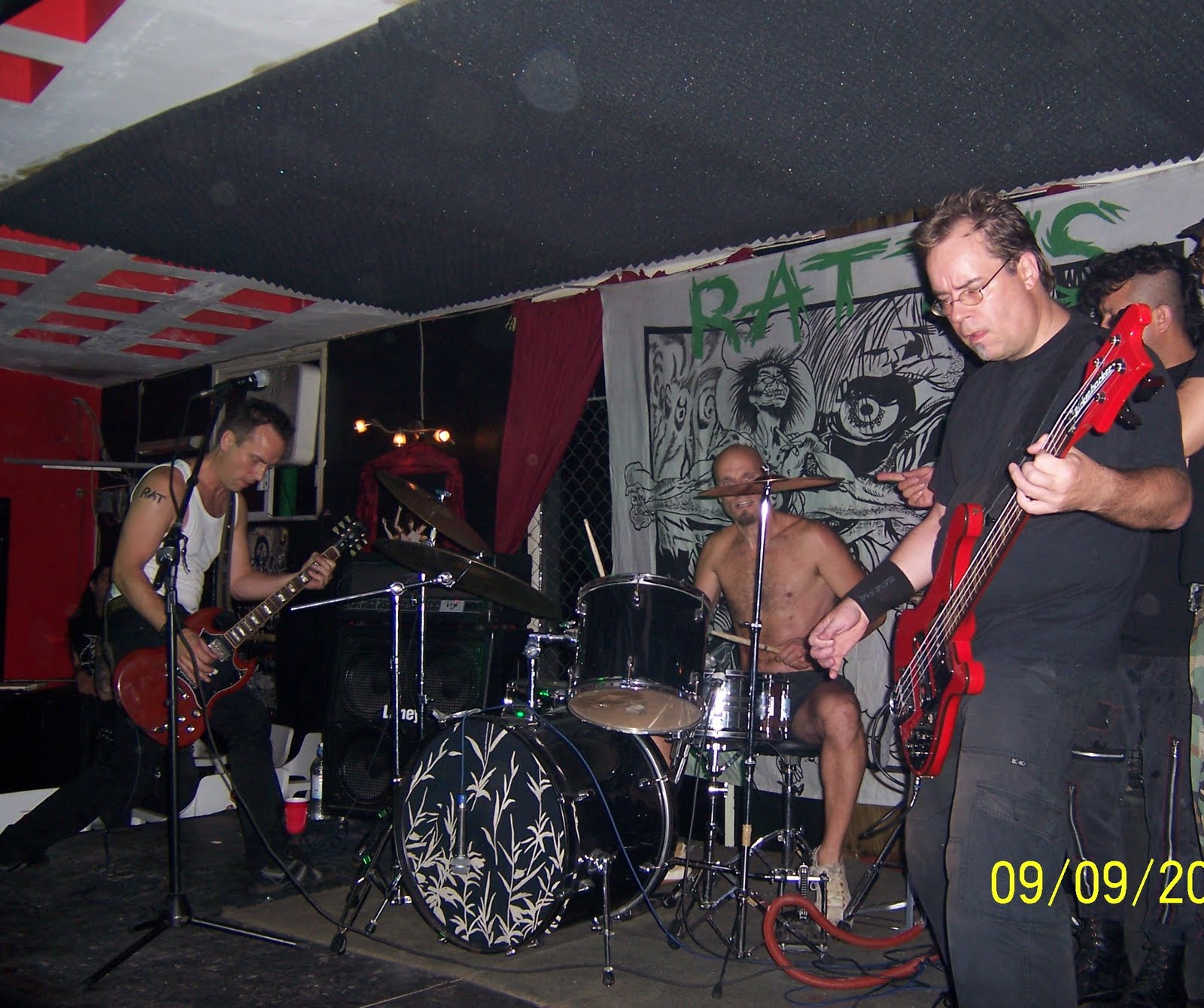 confrontaciondeideas: RATTUS EN QUERETARO