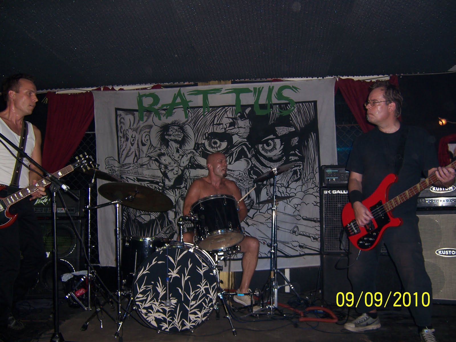 confrontaciondeideas: RATTUS EN QUERETARO