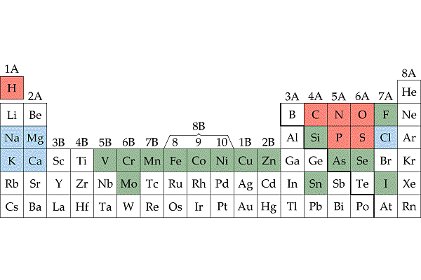 Atoms and Elements as Building Blocks