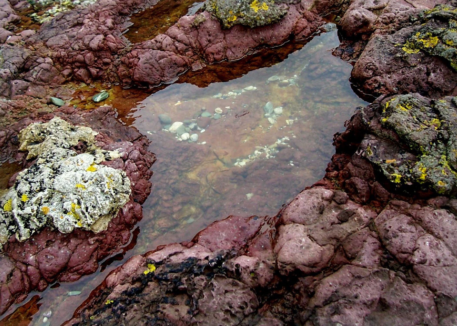a River of small Stones: Rock pool