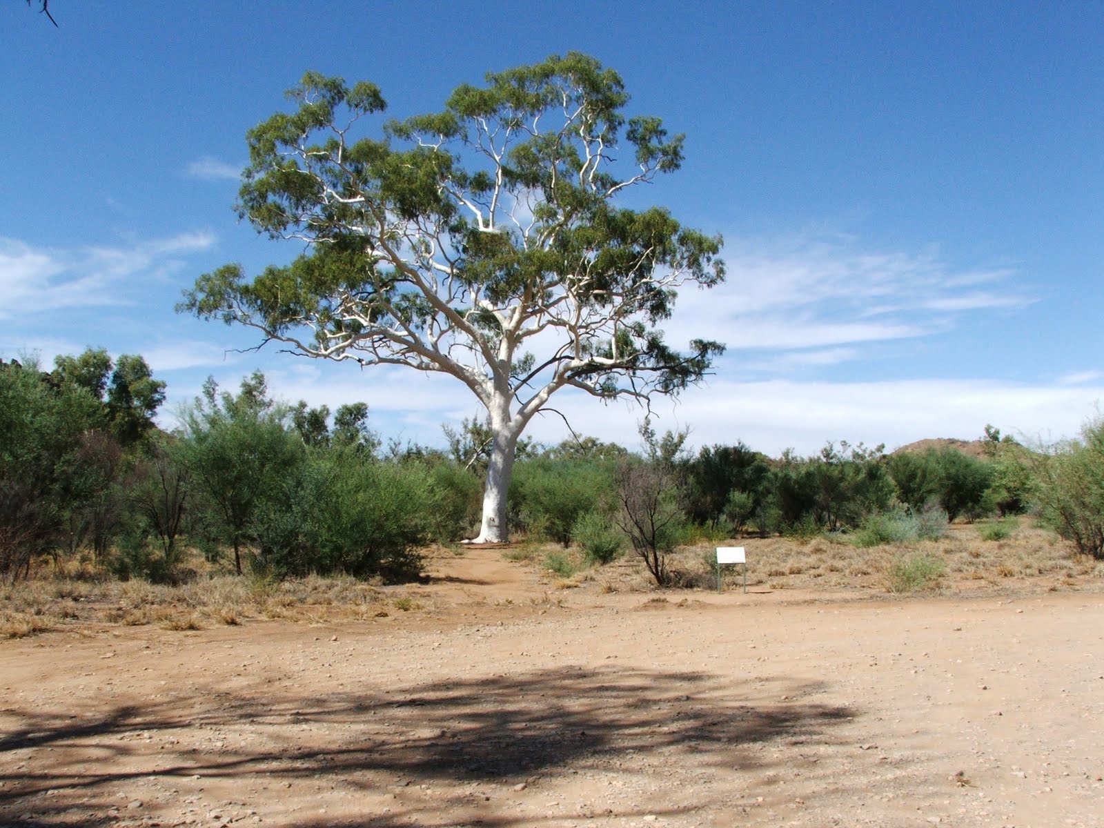 ALL AROUND AUSTRALIA: DAYS 15 & 16 : ALICE SPRINGS