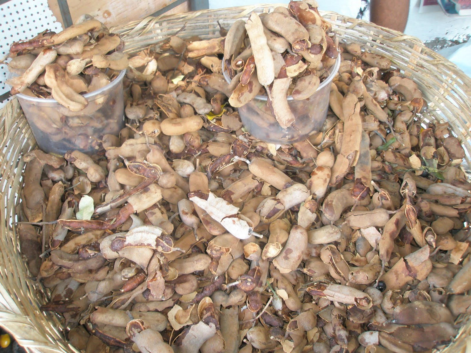 SINTIENDO SUDAMÉRICA: FRUTAS TROPICALES