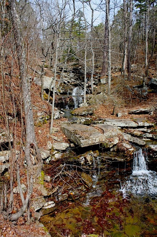 JOYFUL REFLECTIONS: Waterfalls at Mt. Magazine, AR