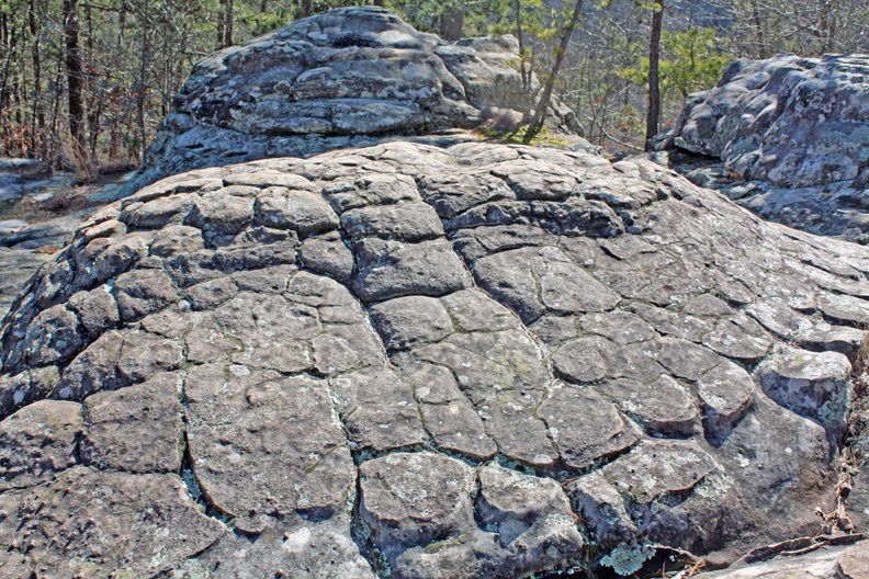 JOYFUL REFLECTIONS: Turtle Rocks in Arkansas