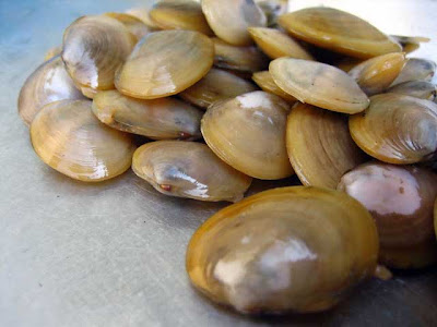 KTemoc Kongsamkok: The 'rich' char koay teow boy