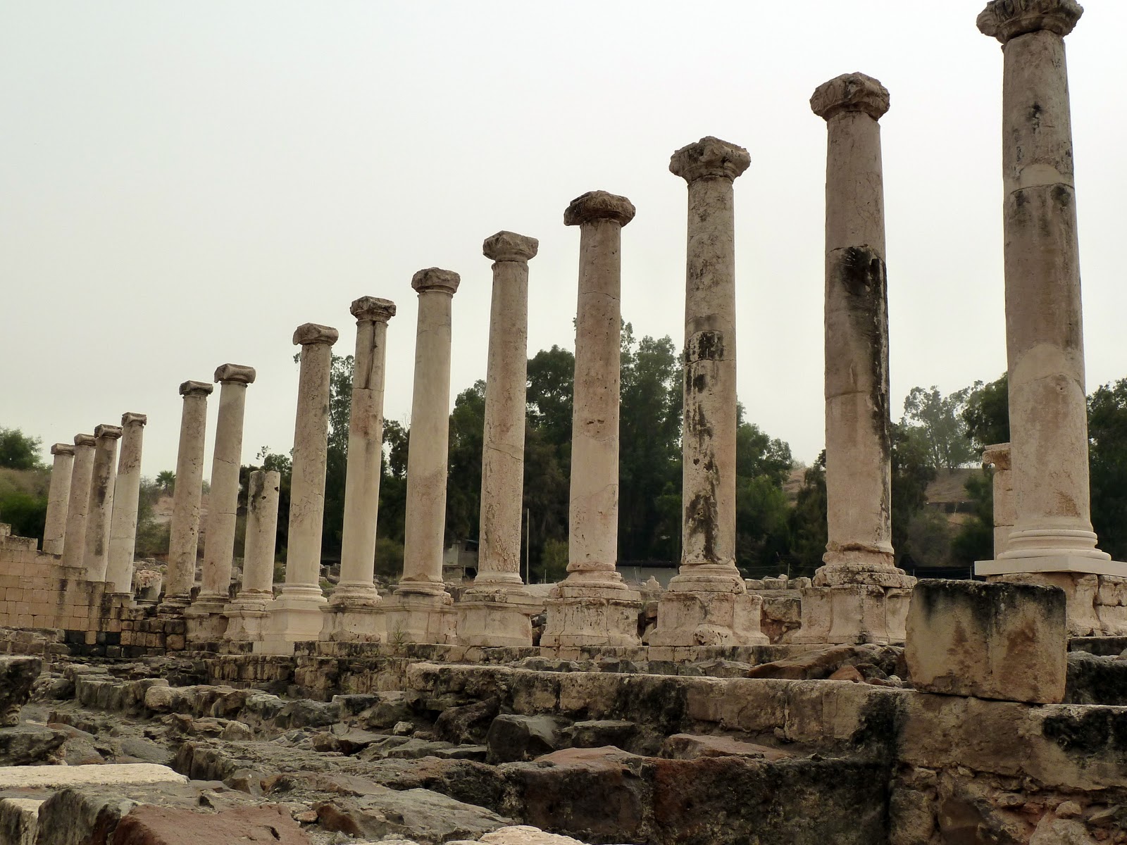 The Bruner Family Journey: Our Trip To The Galilee And The Golan