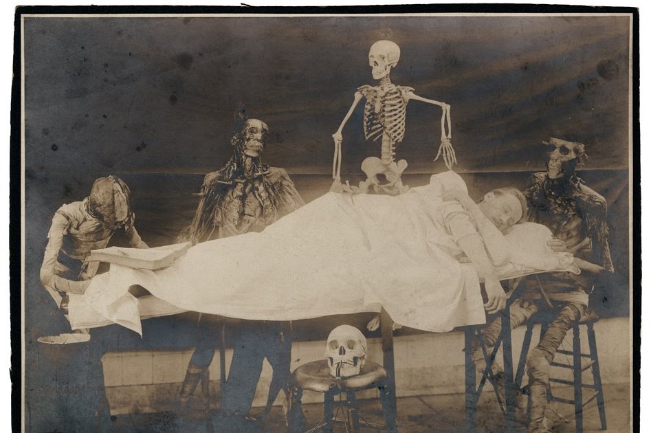 Gothic Tea Society: The Art of Dissection