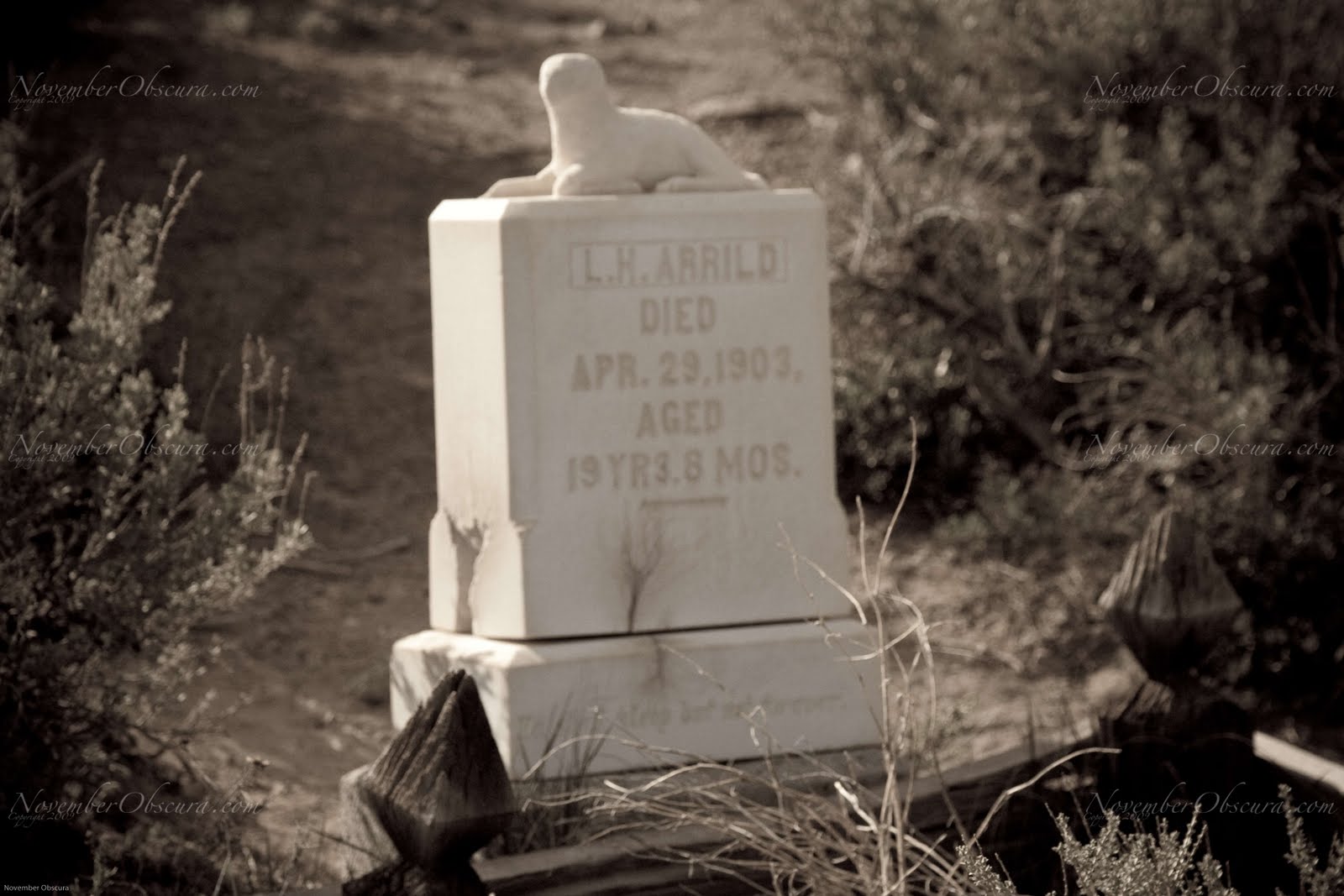 November Obscura: Miners Union Cemetery- Bodie