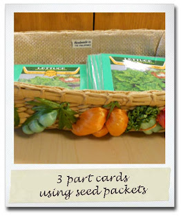 The Montessori Goldmine: Plants and Nature