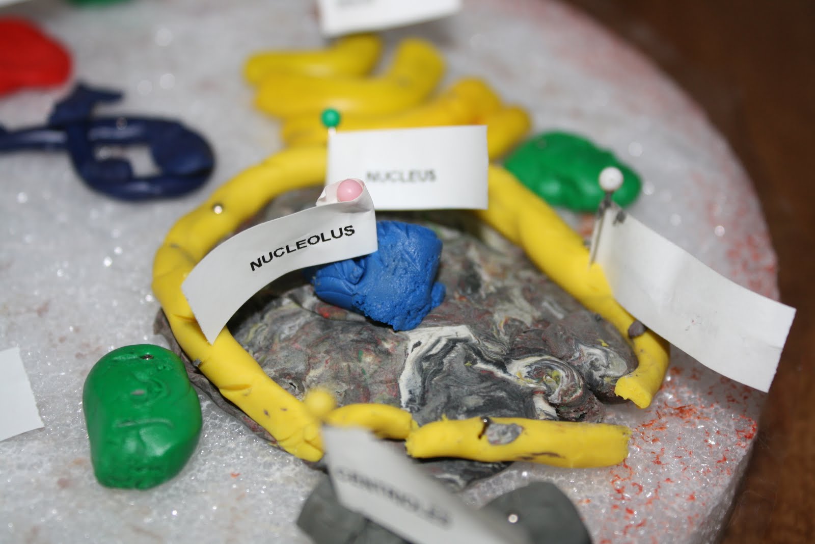 Home Plate Fun: Wierd Science...Cell structures