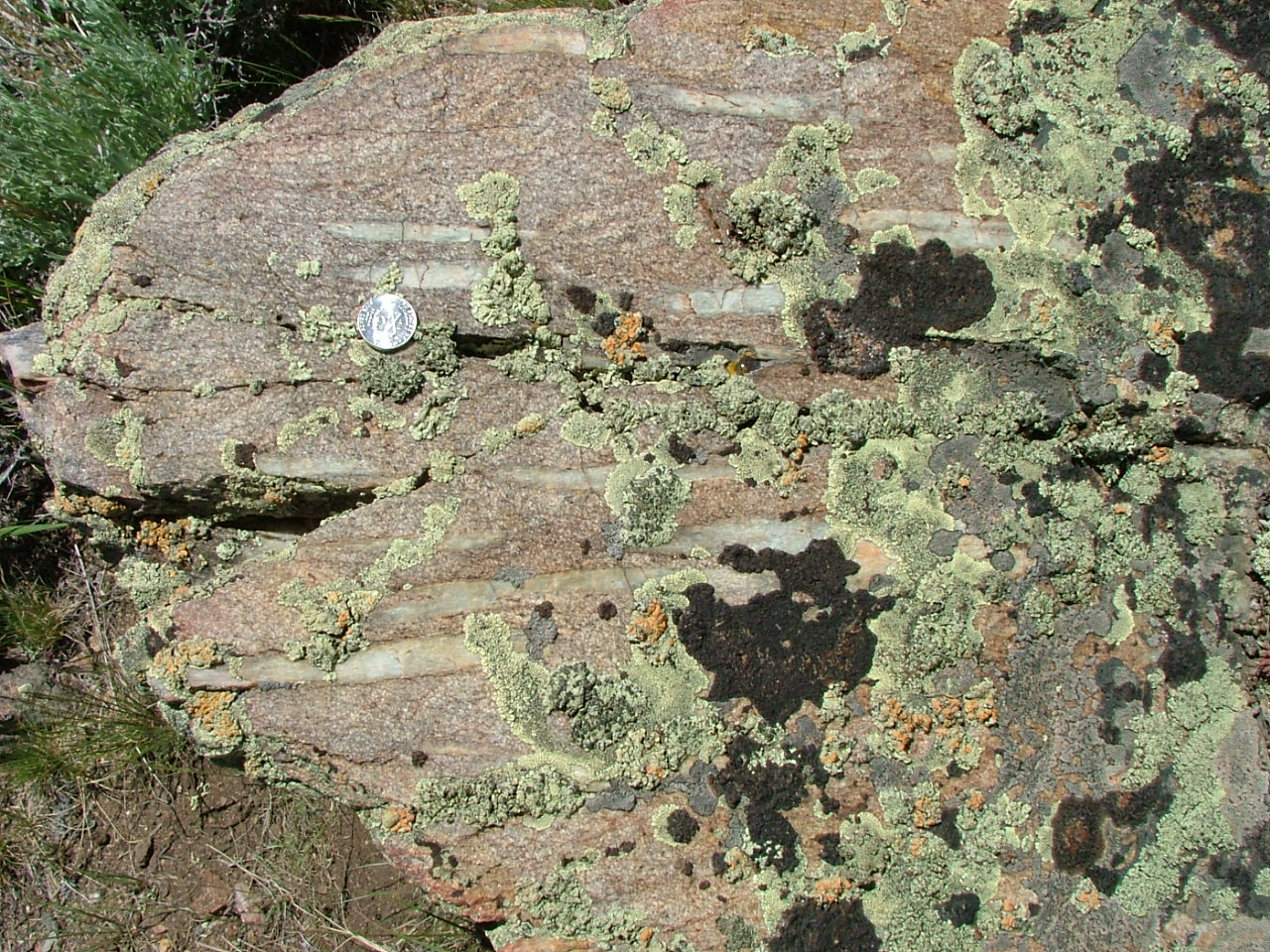 Professor Hausel's Guide to Gold Deposits: GOLD - A Prospector's Guide ...