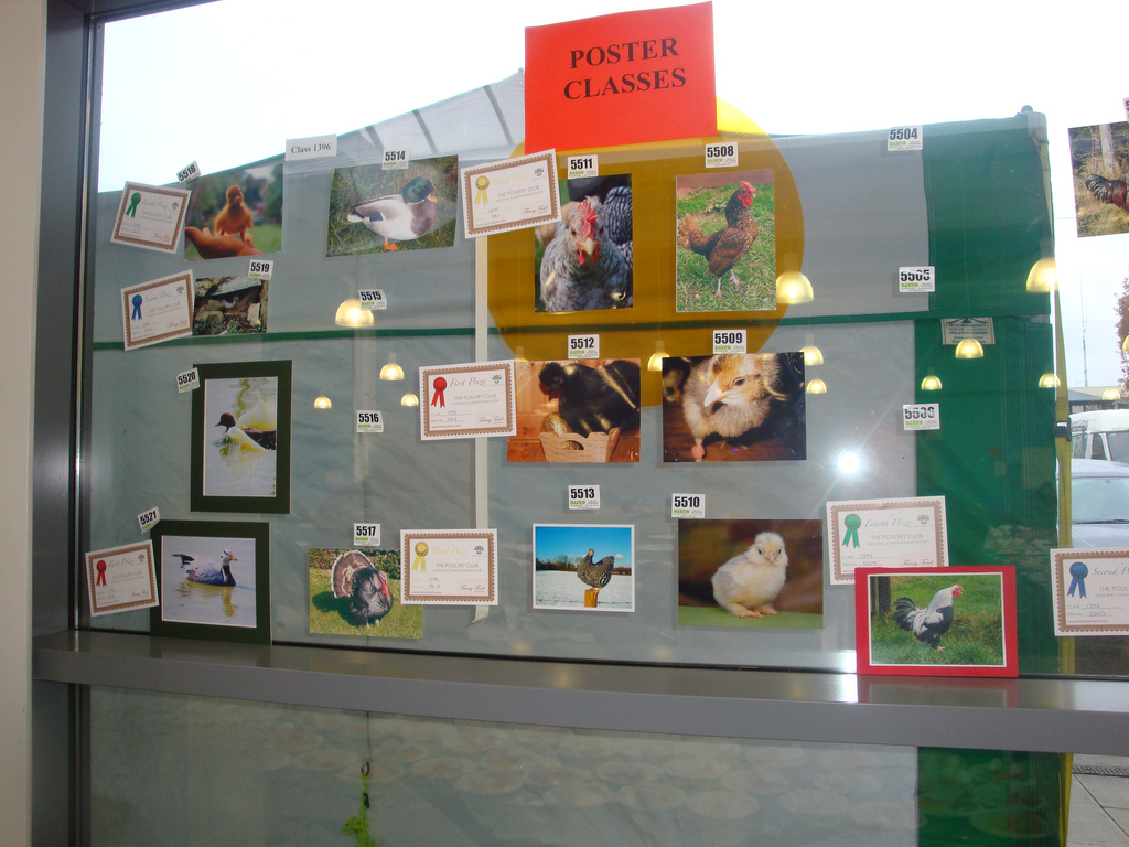 Lewis' Blog: National Poultry Show 2010