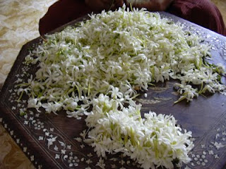 chummachumma: mallipoo(jasmine flower)