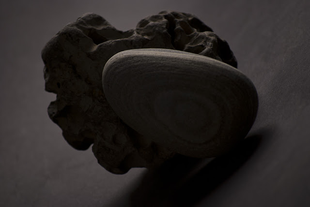 grzegorz semeniuk photography: Studio still life photography