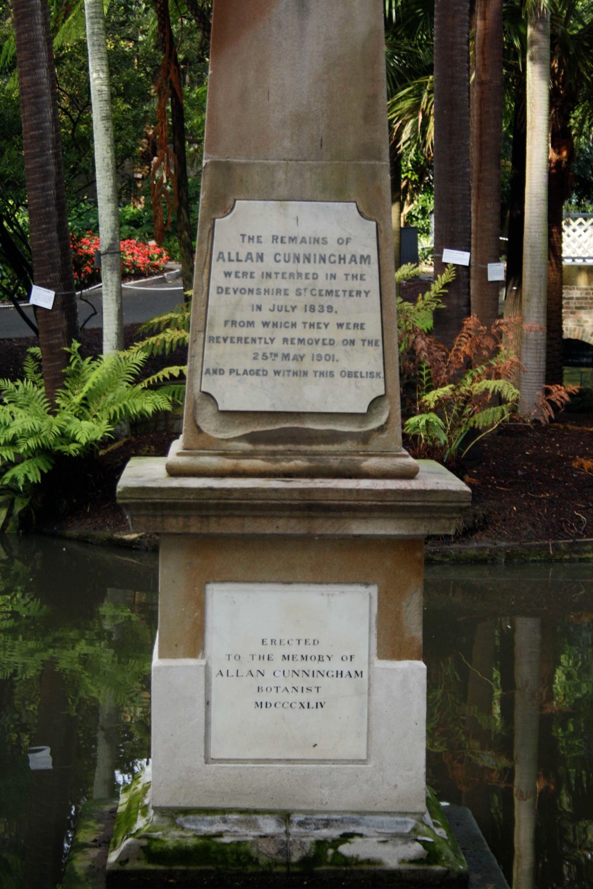 david_vacy: Allan Cunningham