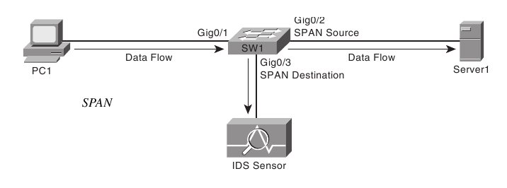 Using the SPAN Feature with IDS