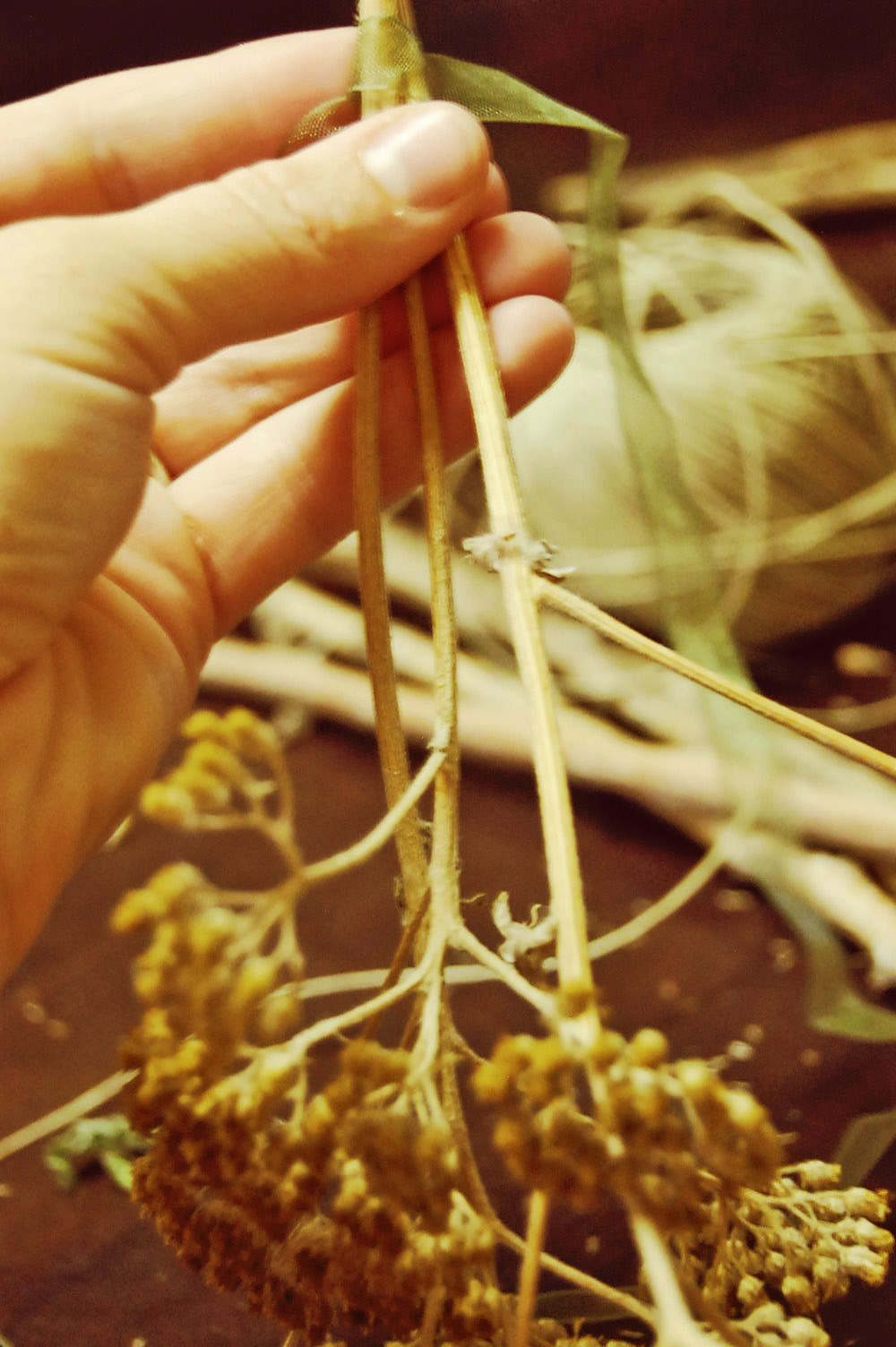 Toad's Treasures Lifestyle Family Blog by Emily Ashby: Twig Decoration ...