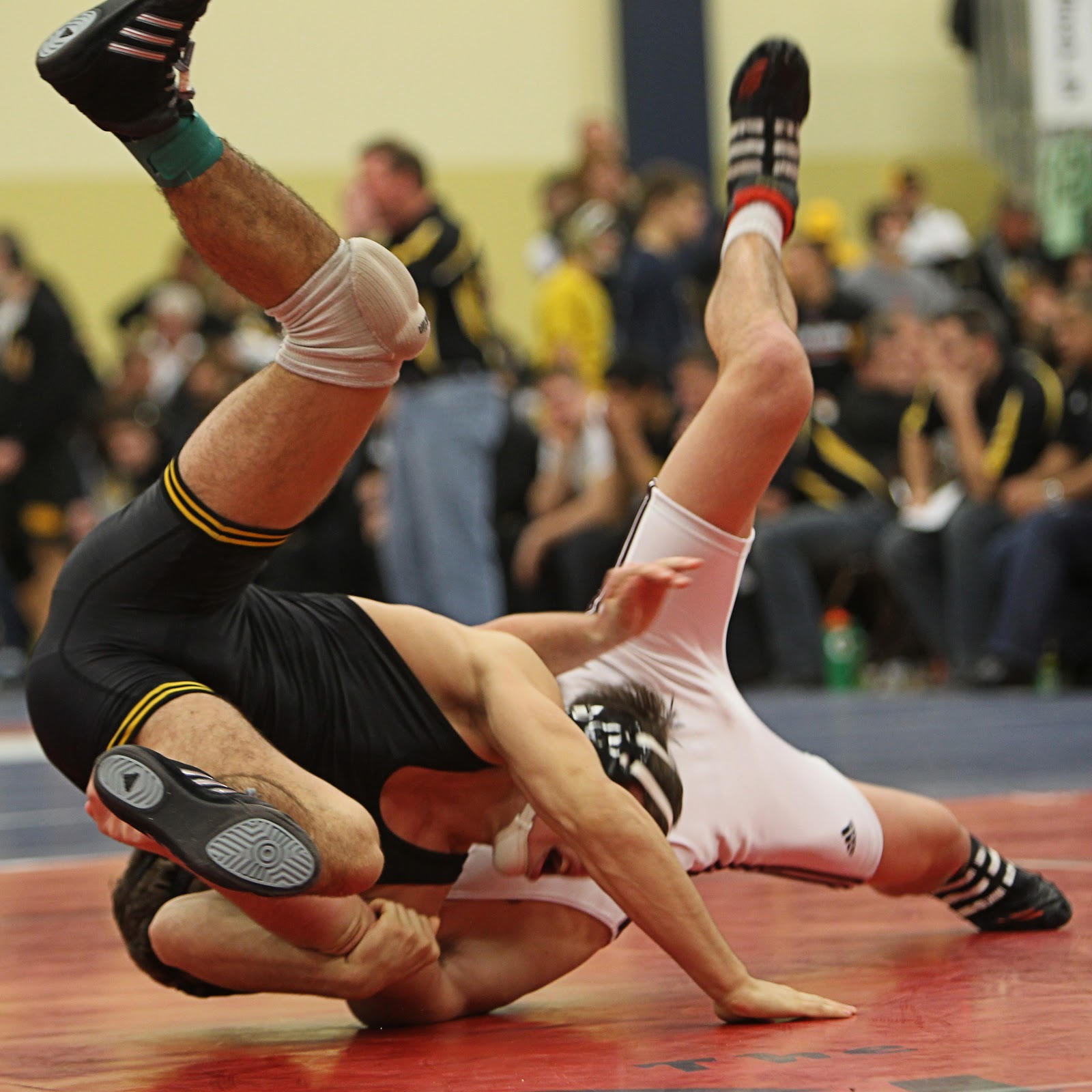 f/go Rambler: January 2011