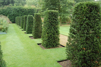 Worcester College Gardeners 2009-2018: Seedlings, Yew Columns and Two ...