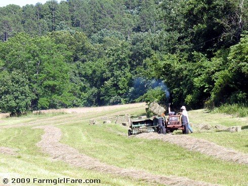 Farmgirl Fare: Farm Photos 7/1/09: A Day in the Hay