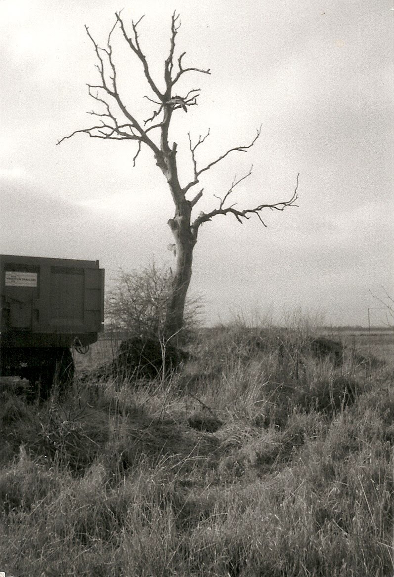 Lincolnshire Gothic