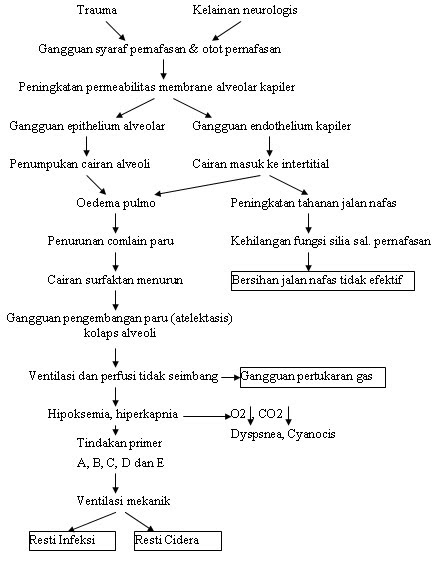 Patofisiologi Dan Pathway Tb Paru